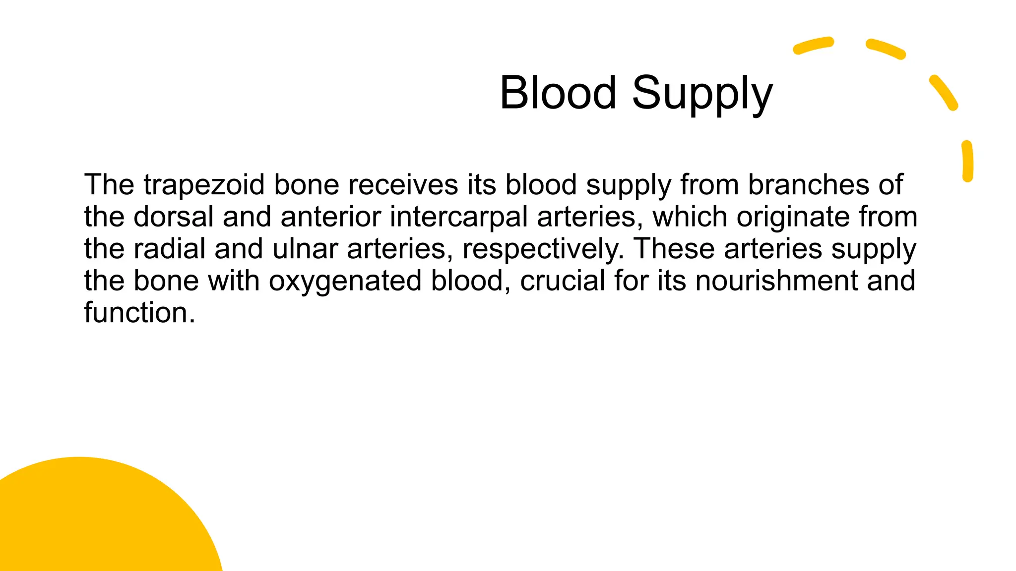 Anatomy of Trapezoid bone | PPTX