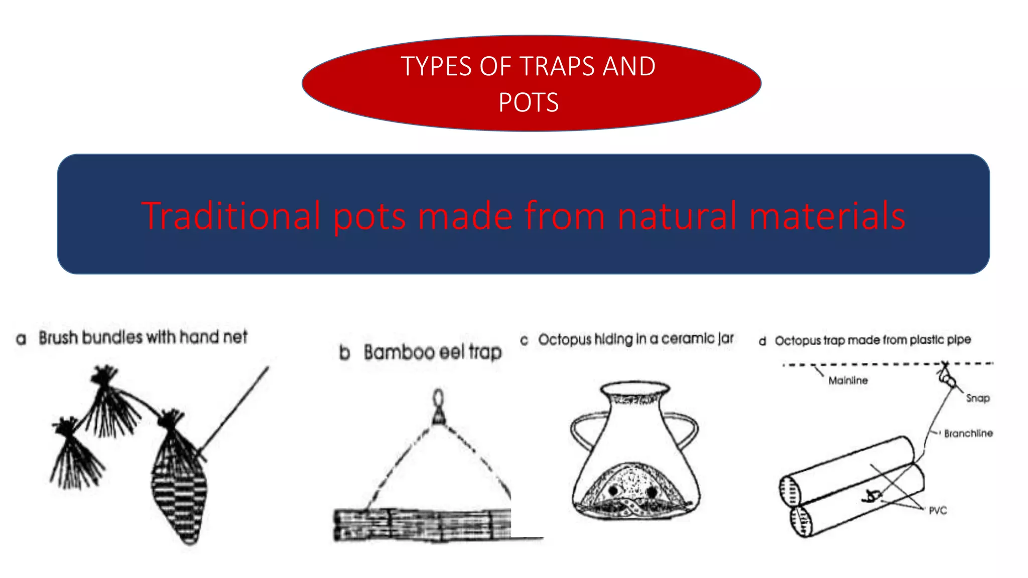 Traps & pots | PPTX