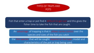 Traps & pots | PPTX