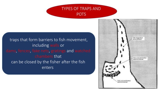 Traps & pots | PPTX