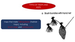 Traps & pots | PPTX