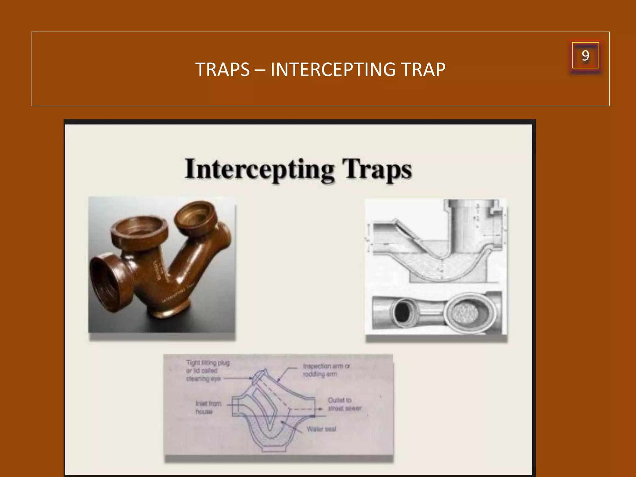 Types of Traps | PPTX