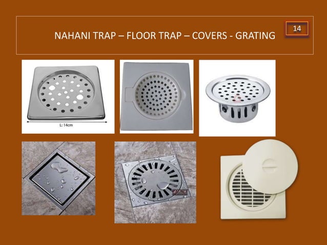 Types of Traps | PPTX