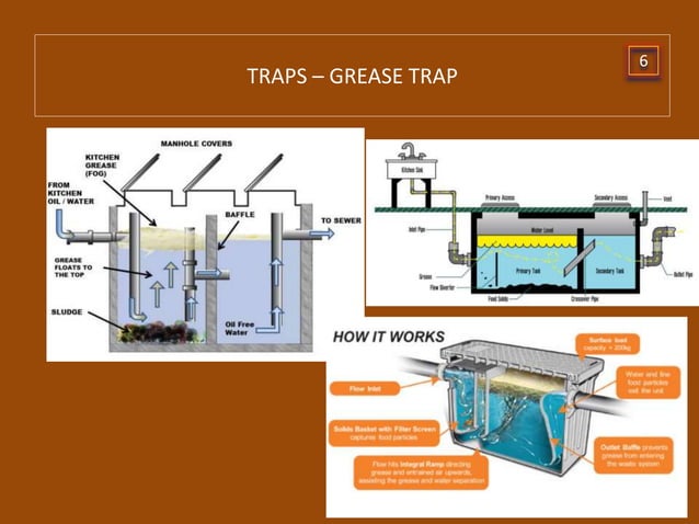 Types of Traps | PPTX