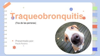 Traqueobronquitis.pptx
