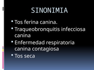 TRAQUEOBRONQUITIS CATARRALveterinaria.pptx