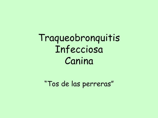 traqueobronquitis infecciosa canina .ppt