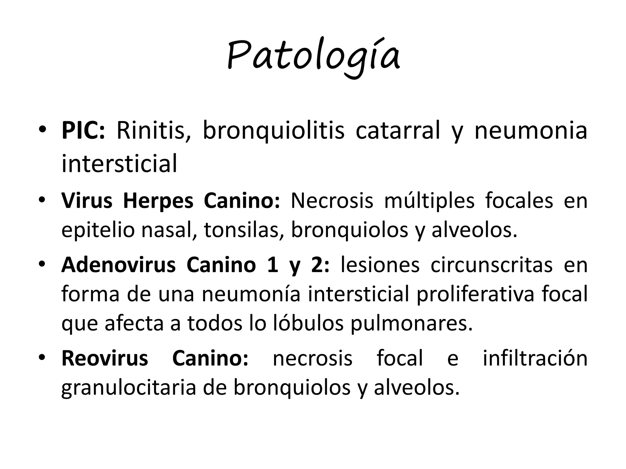 Traqueobronquitis infecciosa canina (original) | PDF