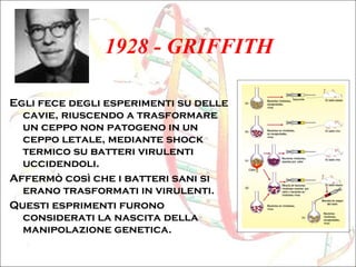 Trasformazione | PPT