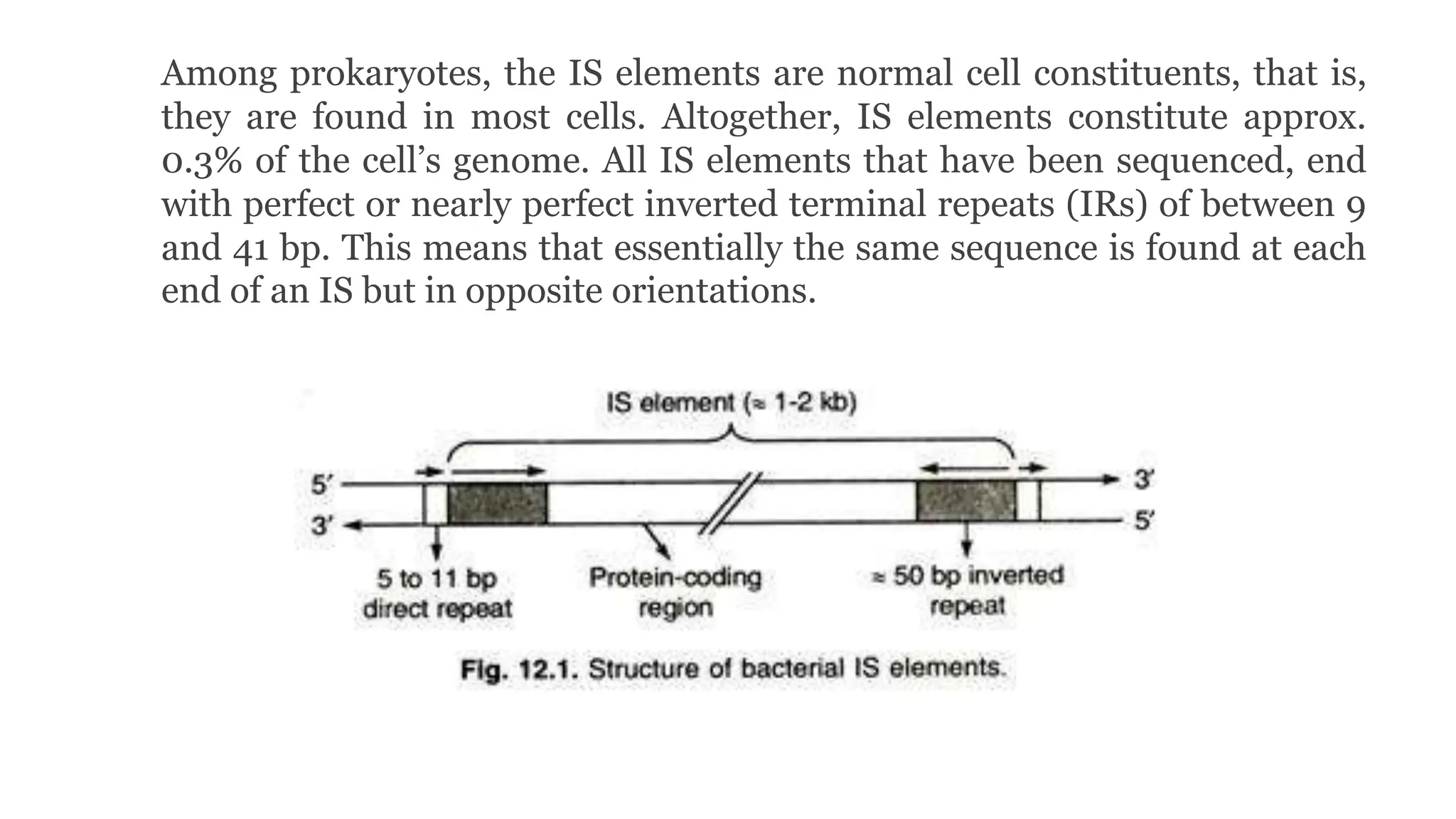 An Introduction To Transposable Elements Ppt