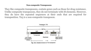 An Introduction to Transposable elements | PPT