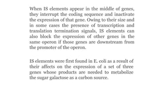 An Introduction to Transposable elements | PPT