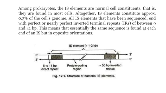 An Introduction to Transposable elements | PPT