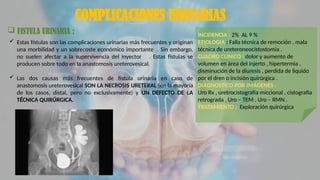TRASPLANTE RENAL de salud renal nefrologia .pptx