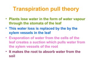 Trasport in plants ppt | PPT
