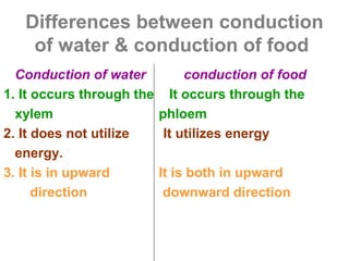 Trasport in plants ppt | PPT