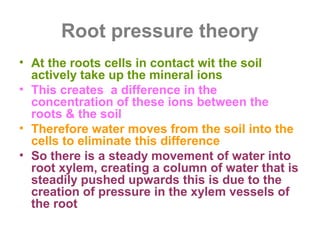 Trasport in plants ppt | PPT