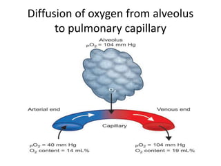 TRASPORT OF RESPIRATORY GASES.pptx