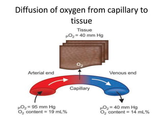 TRASPORT OF RESPIRATORY GASES.pptx