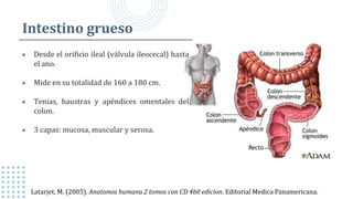 trastorno de la absorcion.pptx
