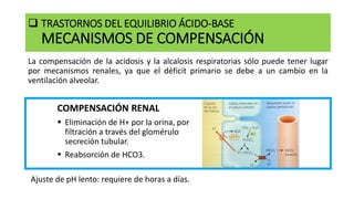 Trastornos ácido base | PPTX
