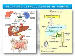 Trastornos de la coloracion y edema | PPTX