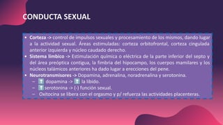 Trastornos de la sexualidad psiquiatria clase | PDF | Sexual Conditions ...