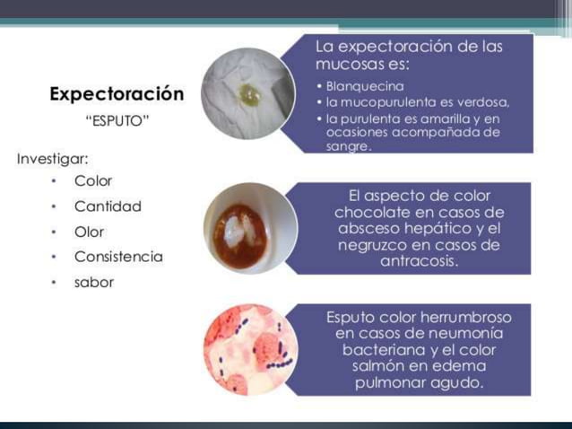 expectoracion | PPTX | Lung and Respiratory Health | Diseases and ...