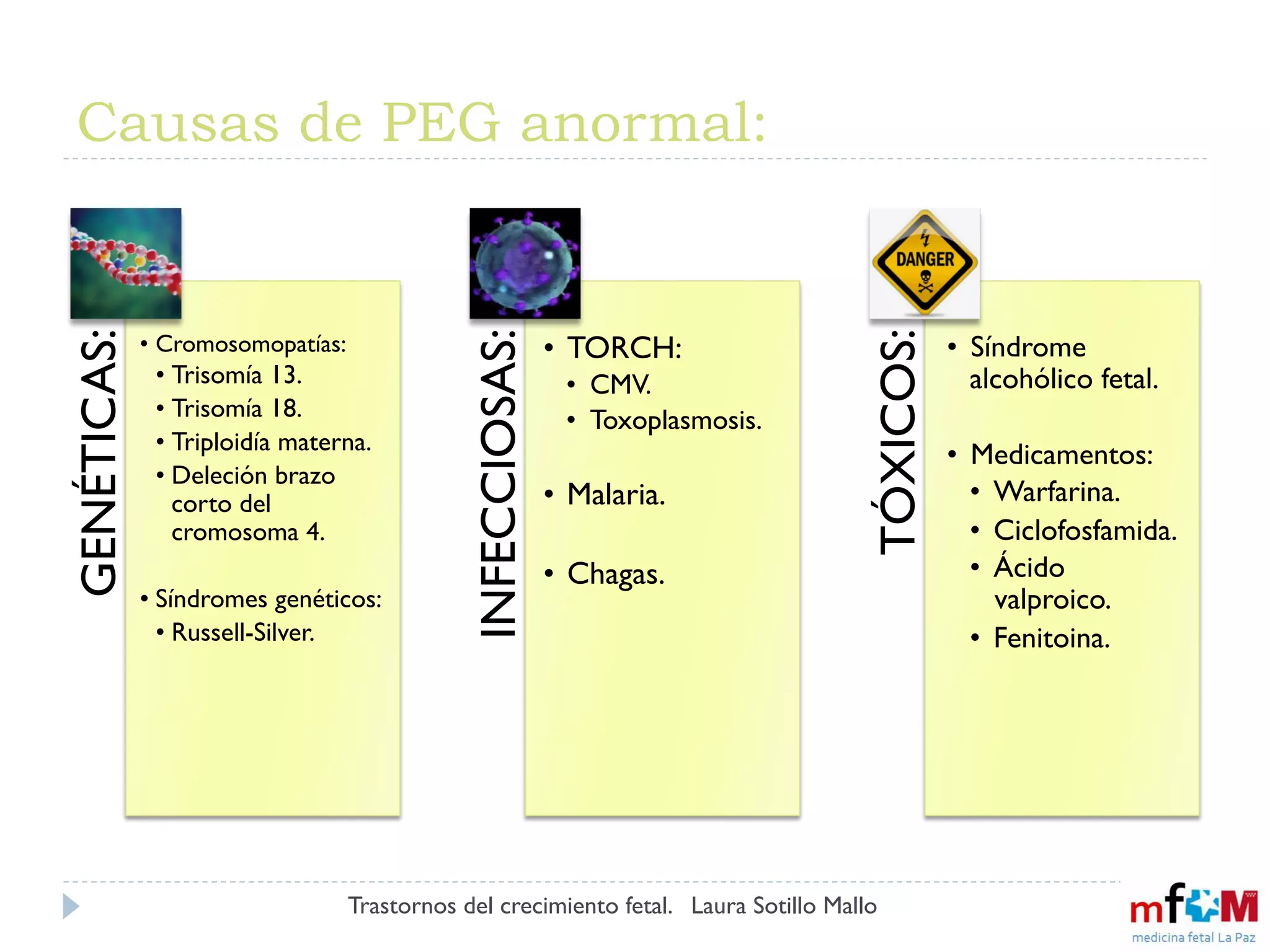 Trastornos del crecimiento fetal. Definición, causas y clasificación ...