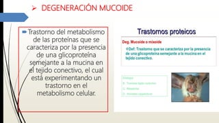 Trastornos del Metabolismo Celular | PPTX