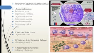 Trastornos del Metabolismo Celular | PPTX