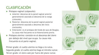 Trastornos del piso pélvico | PPTX