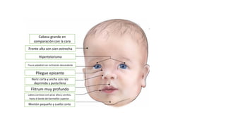 TRASTORNOS NEUROCUTANEOS - Neuropediatría.pptx