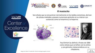 Sesión Académica del CRAIC "Trastornos por activación de mastocitos" | PDF