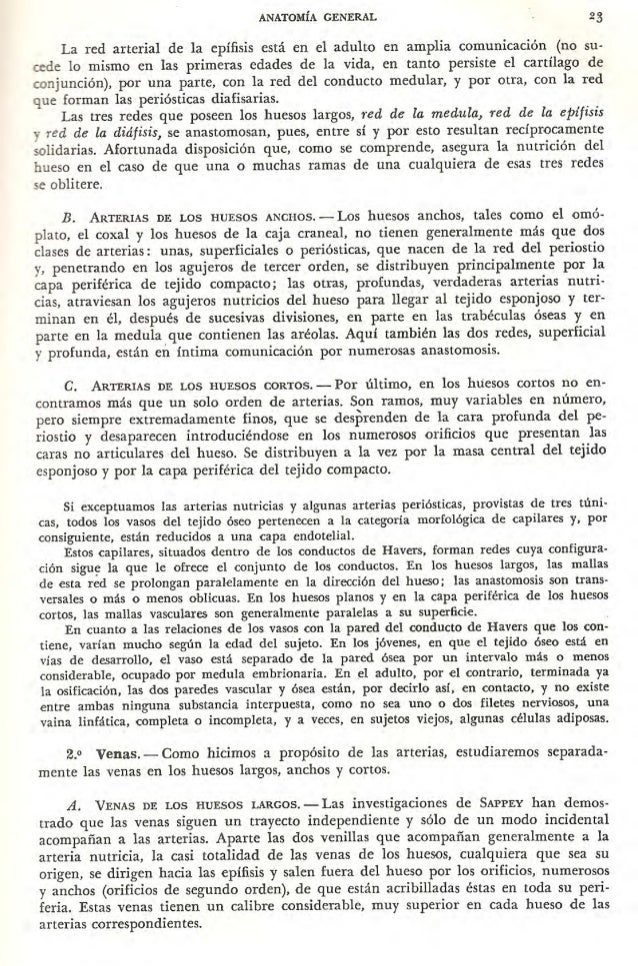 Tratado de anatomia humana - testut - tomo 1 | PDF