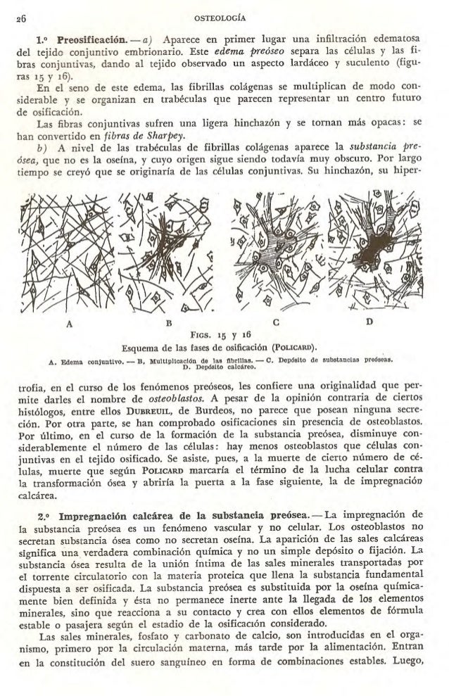 Tratado de anatomia humana - testut - tomo 1 | PDF
