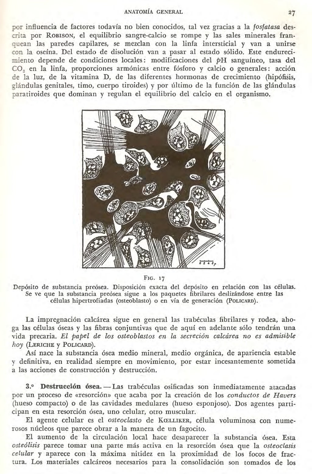 Tratado de anatomia humana - testut - tomo 1 | PDF