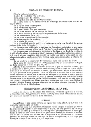 Tratado de Anatomia Qumana. Dr. Fernando Quiroz. Tomo I | PDF