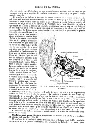 Tratado de Anatomia Qumana. Dr. Fernando Quiroz. Tomo I | PDF