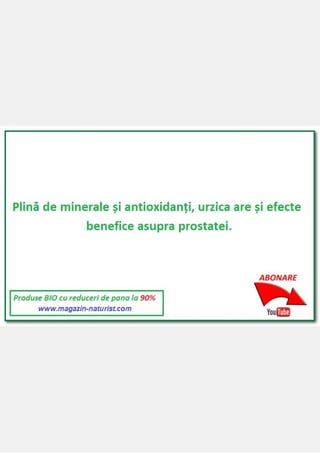 Tratament naturist pentru prostata | PDF
