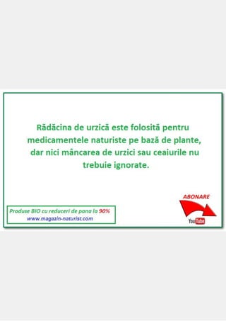 Tratament naturist pentru prostata | PDF