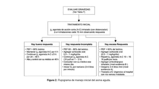 Tratamiento Asma Bronquial.pptx