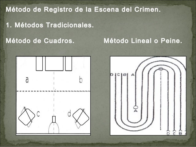 Tratamiento criminalístico de la escena del crimen