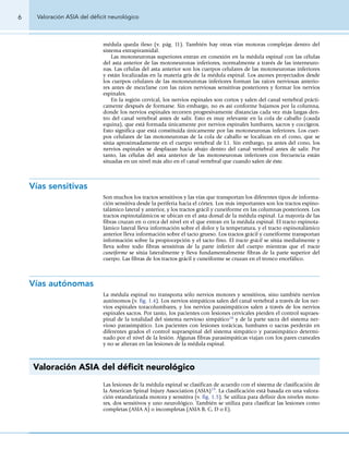 Tratamiento de la_lesion_medular_guia_para_fisioterapeutas_harvey ...