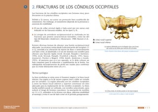 Tratamiento de las lesiones traumáticas de la región occipito cervical.pdf