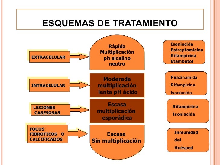 Tratamiento de la tuberculosis pulmonar sensible. dr casanova.