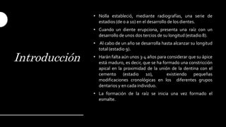 Tratamiento del diente con apice inmaduro | PPTX