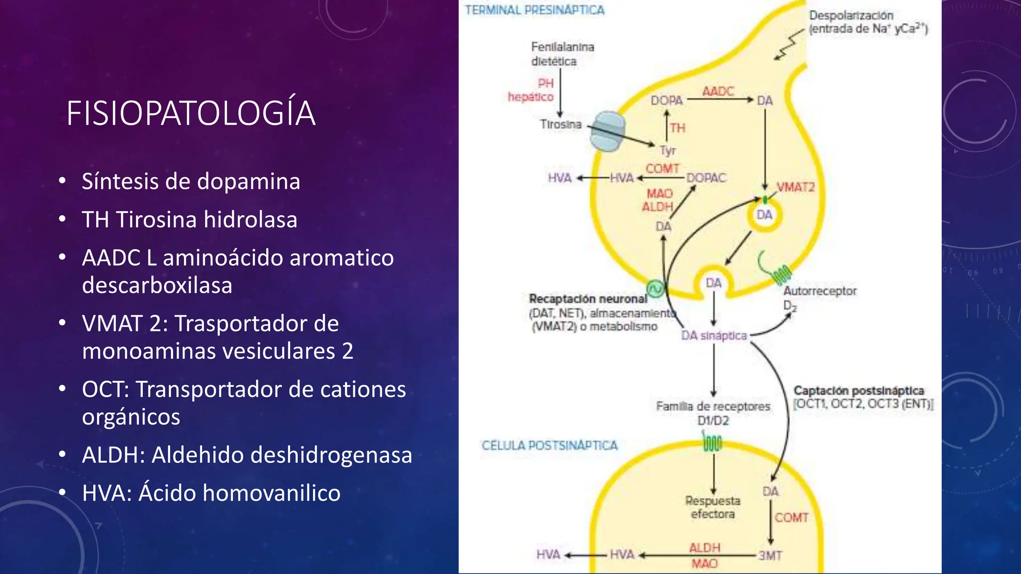 Tratamiento de los trastornos degenerativos del SNC.pptx