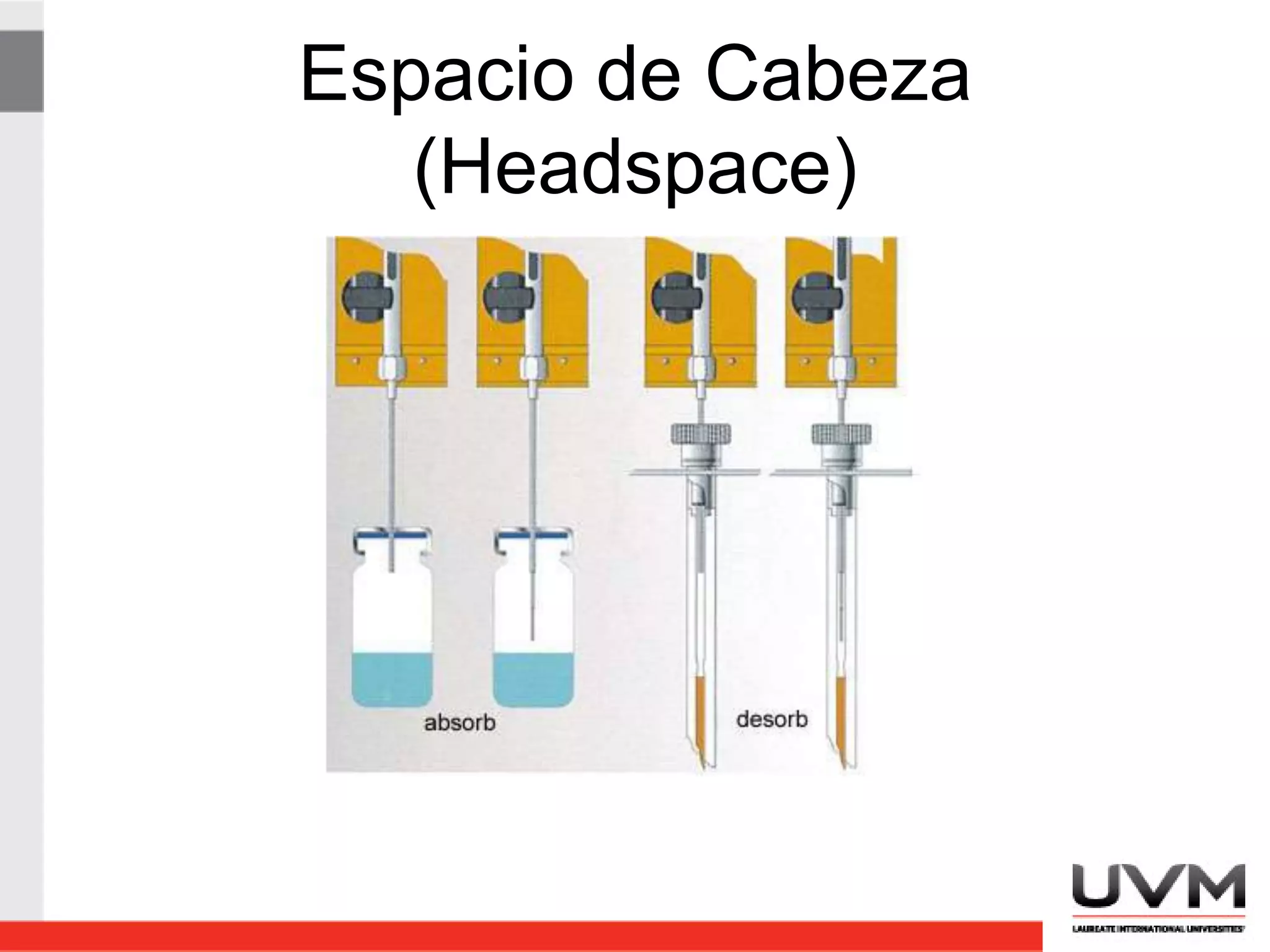 Tratamiento de la muestra: Extracciones