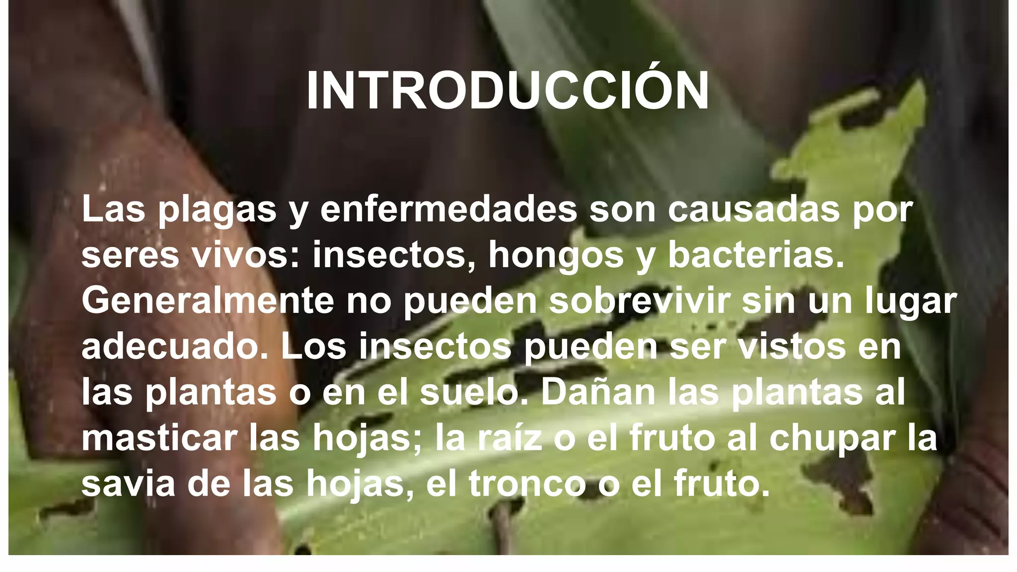 tratamiento de plagas y enfermedades.pdf
